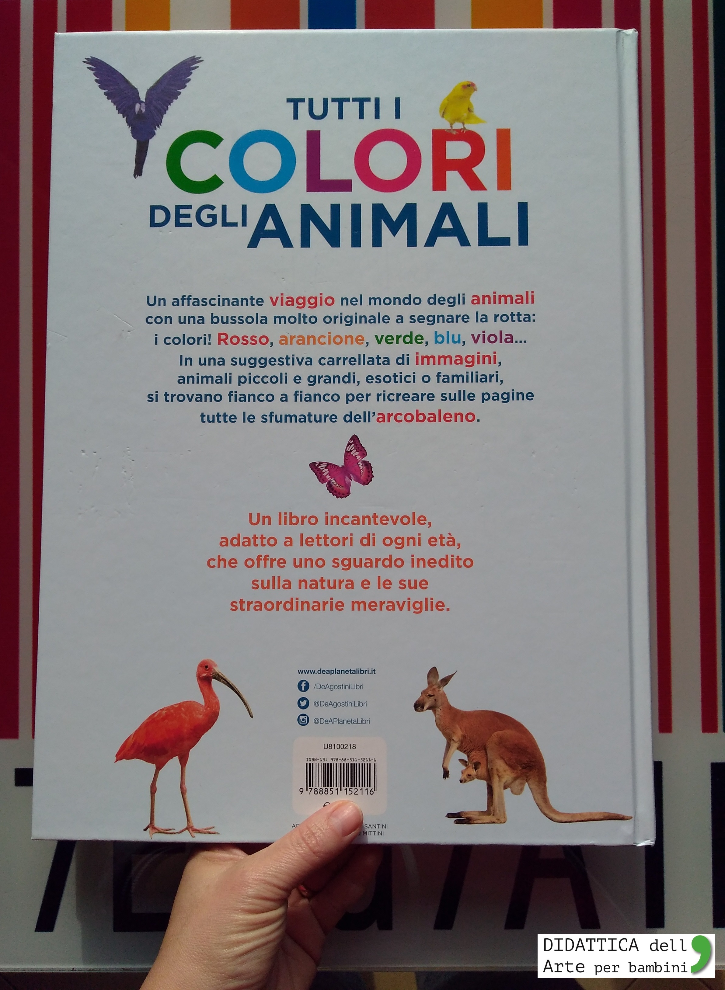 Tutti i colori degli animali | Didattica dell'Arte per Bambini